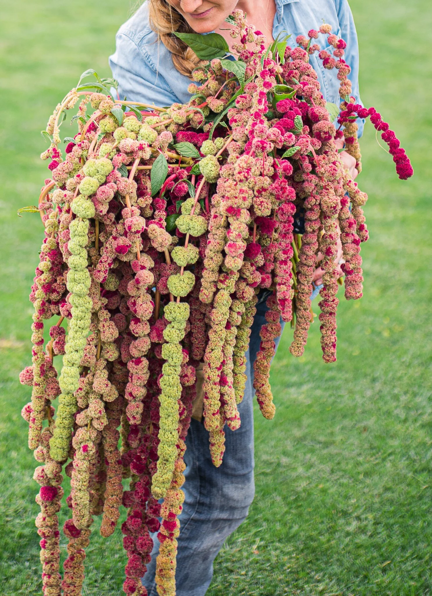 Seasonal Gallery — Pixie Acres