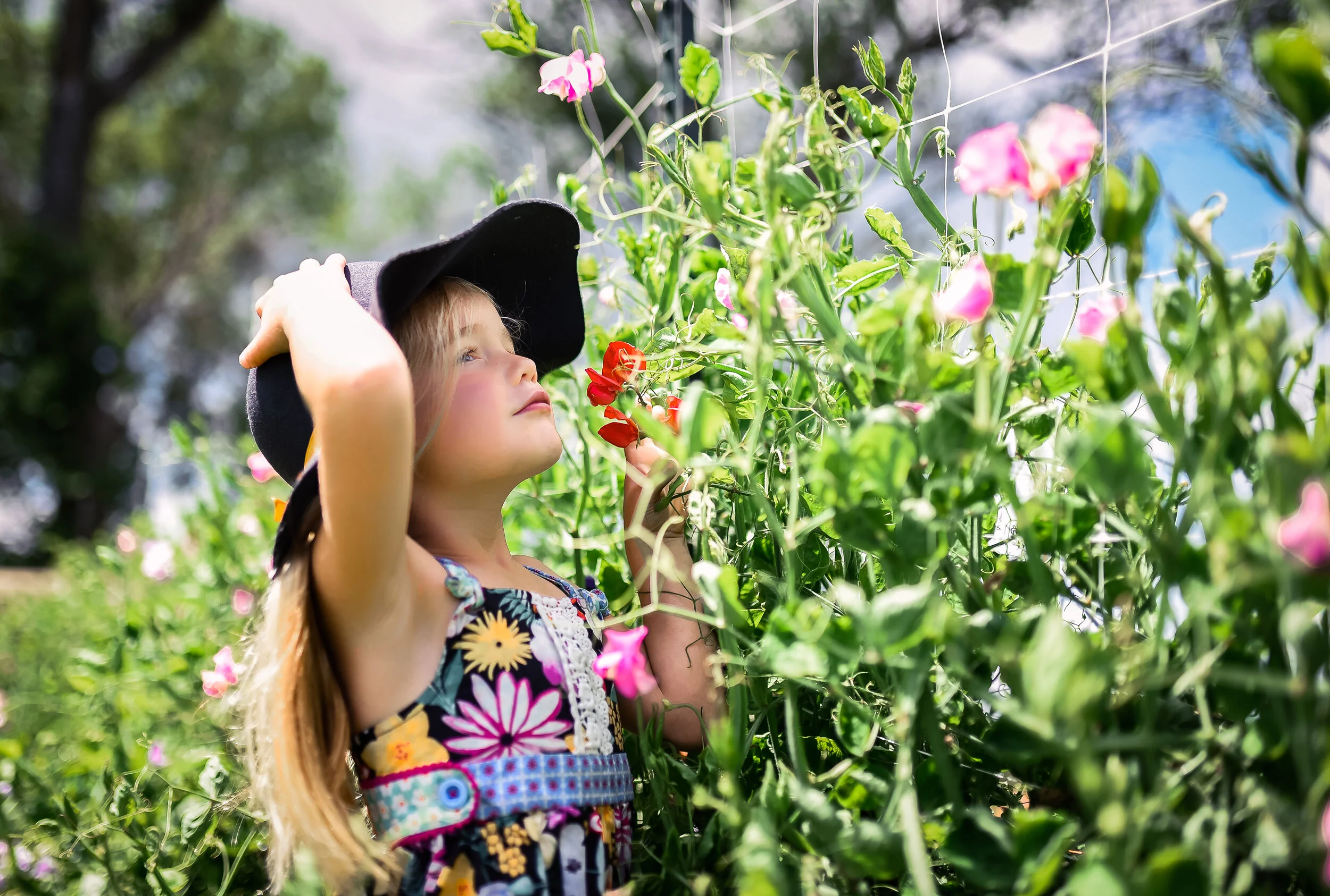 Shop — Pixie Acres