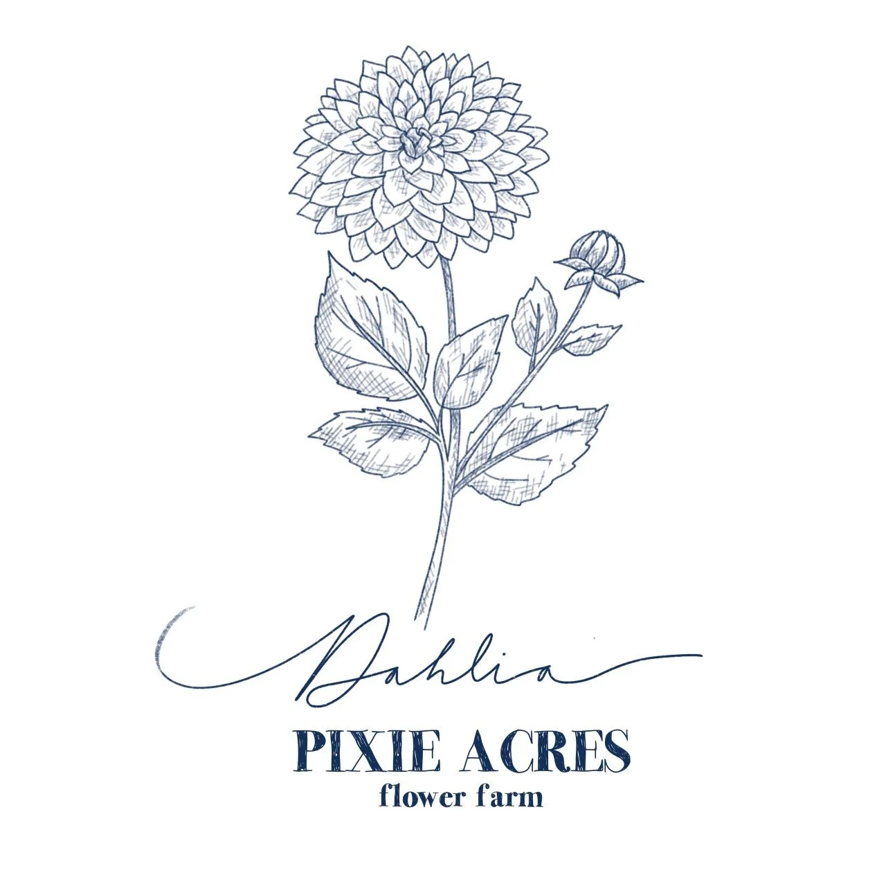 Shop — Pixie Acres