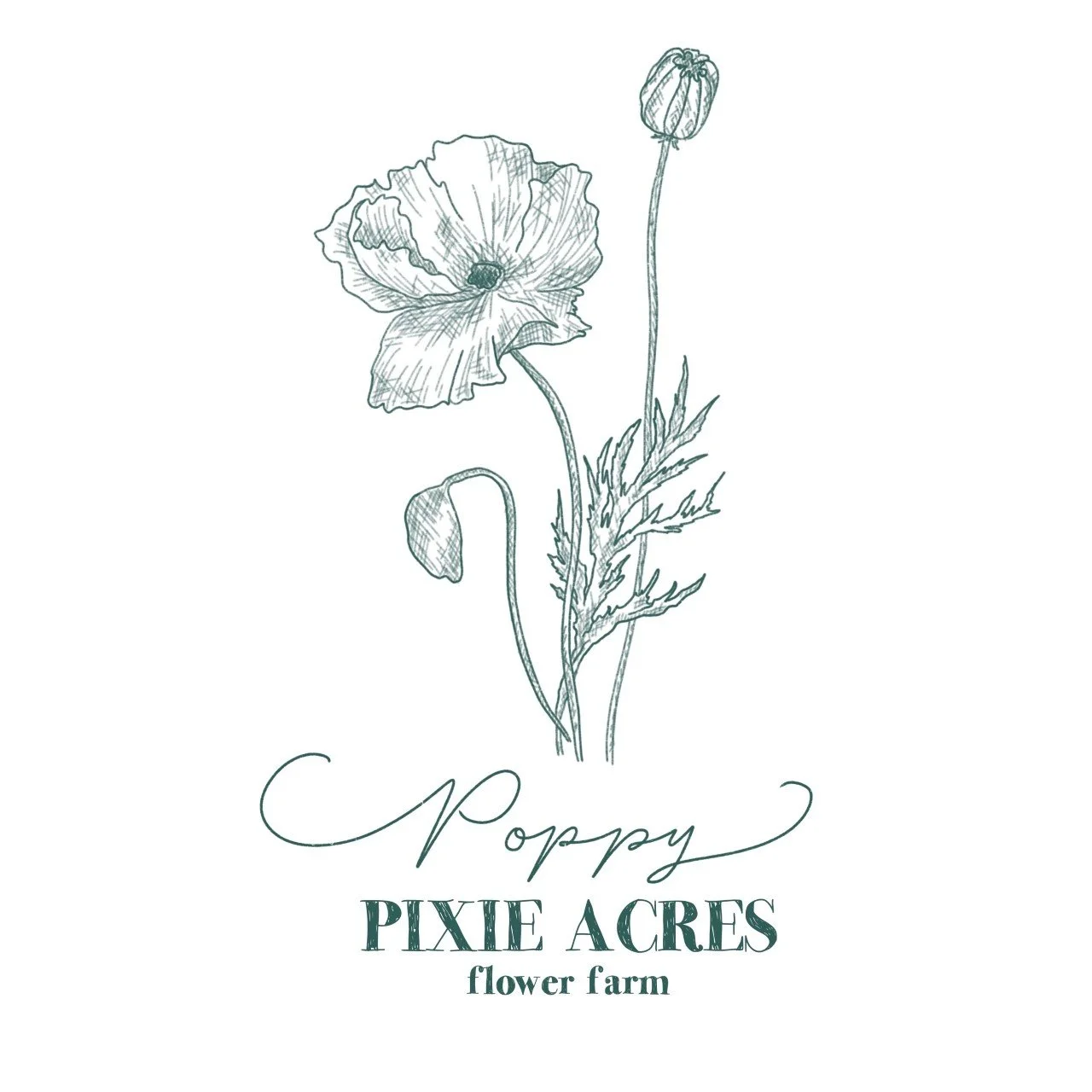 Shop — Pixie Acres