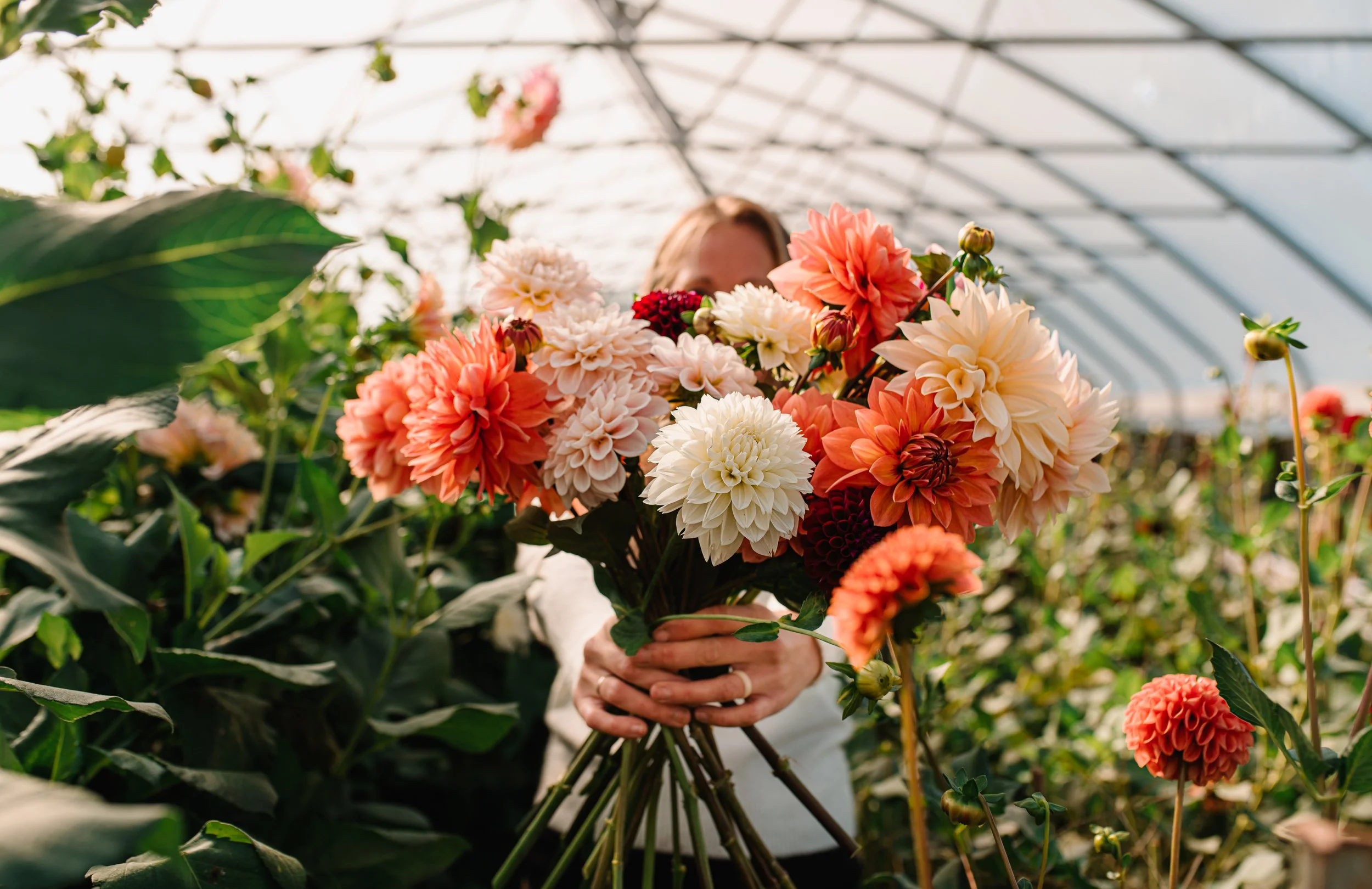 Shop — Pixie Acres