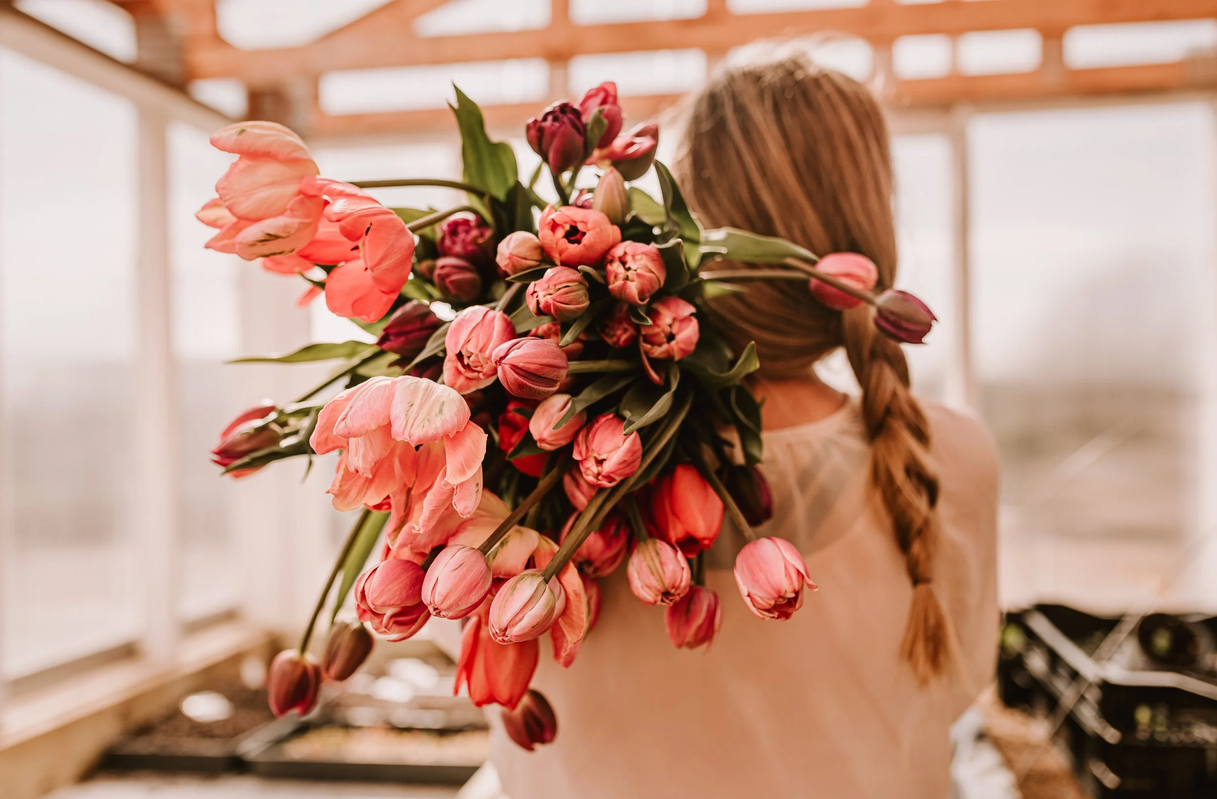 Shop — Pixie Acres