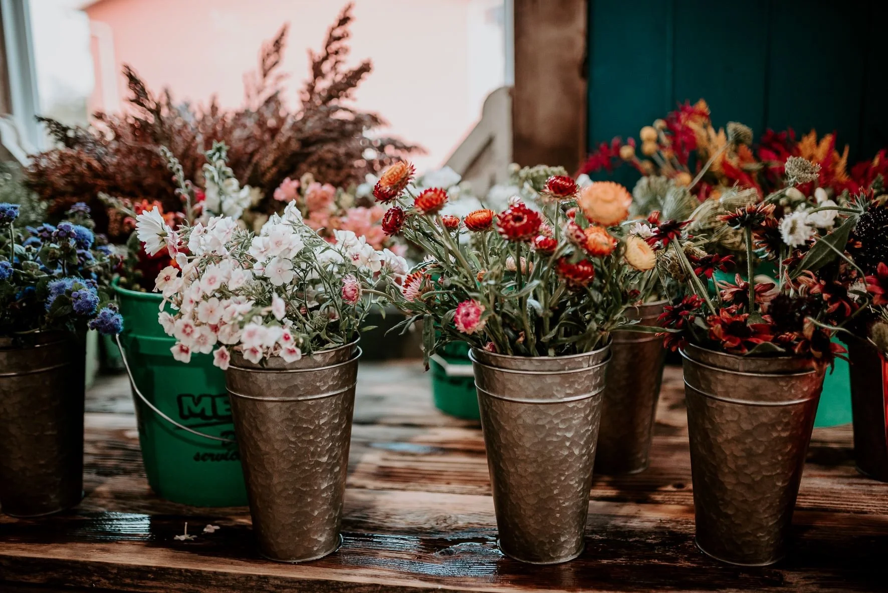 Shop — Pixie Acres