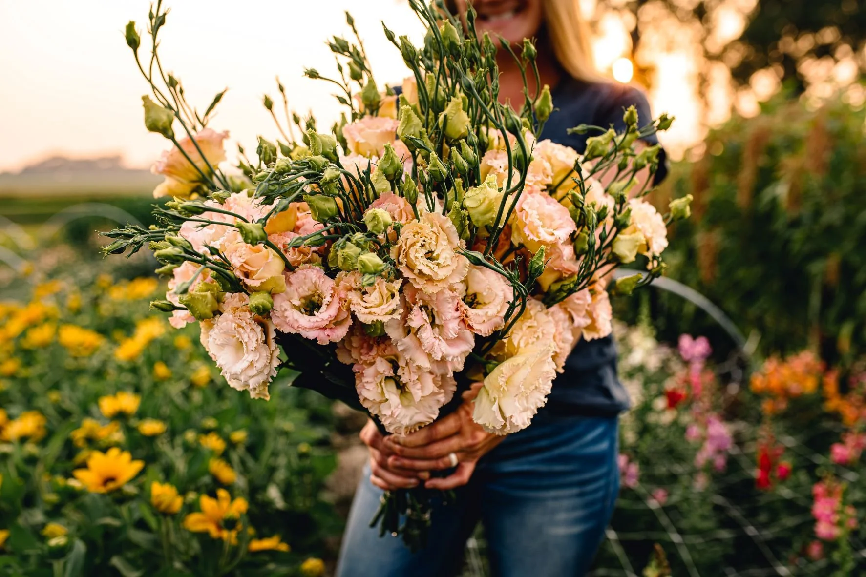 Shop — Pixie Acres