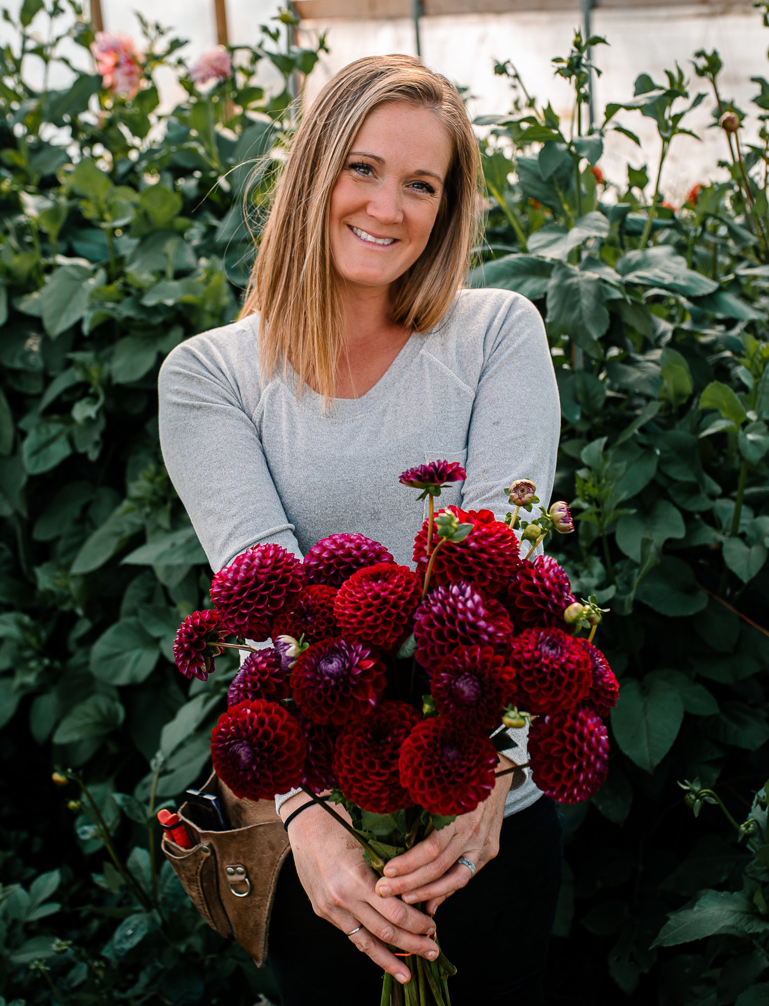 Dahlia Tubers — Pixie Acres