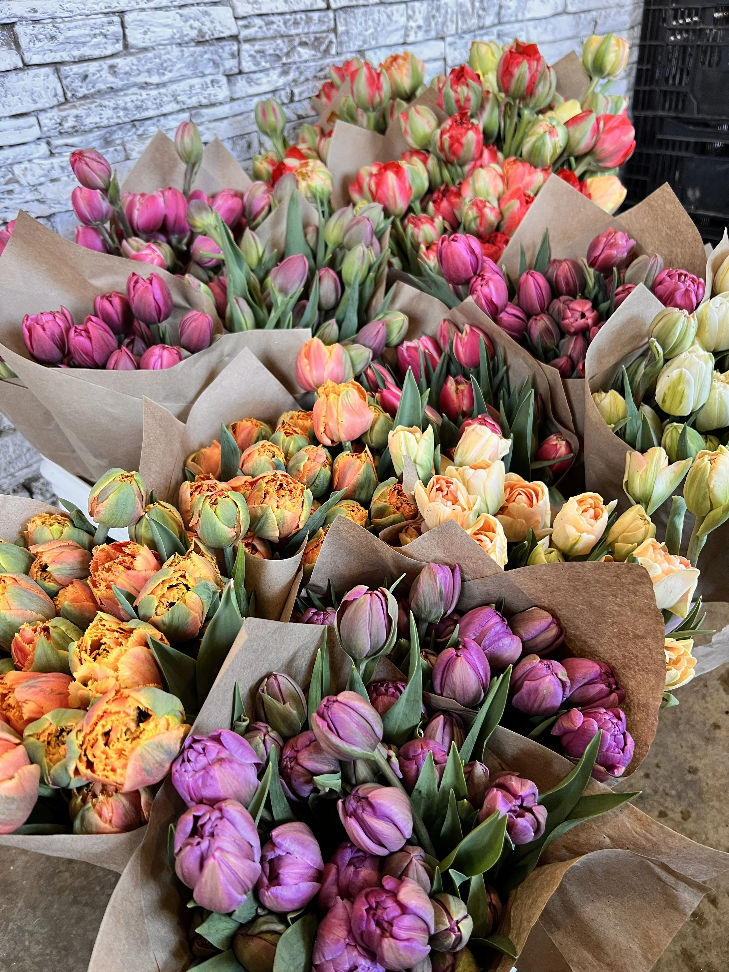 Shop — Pixie Acres