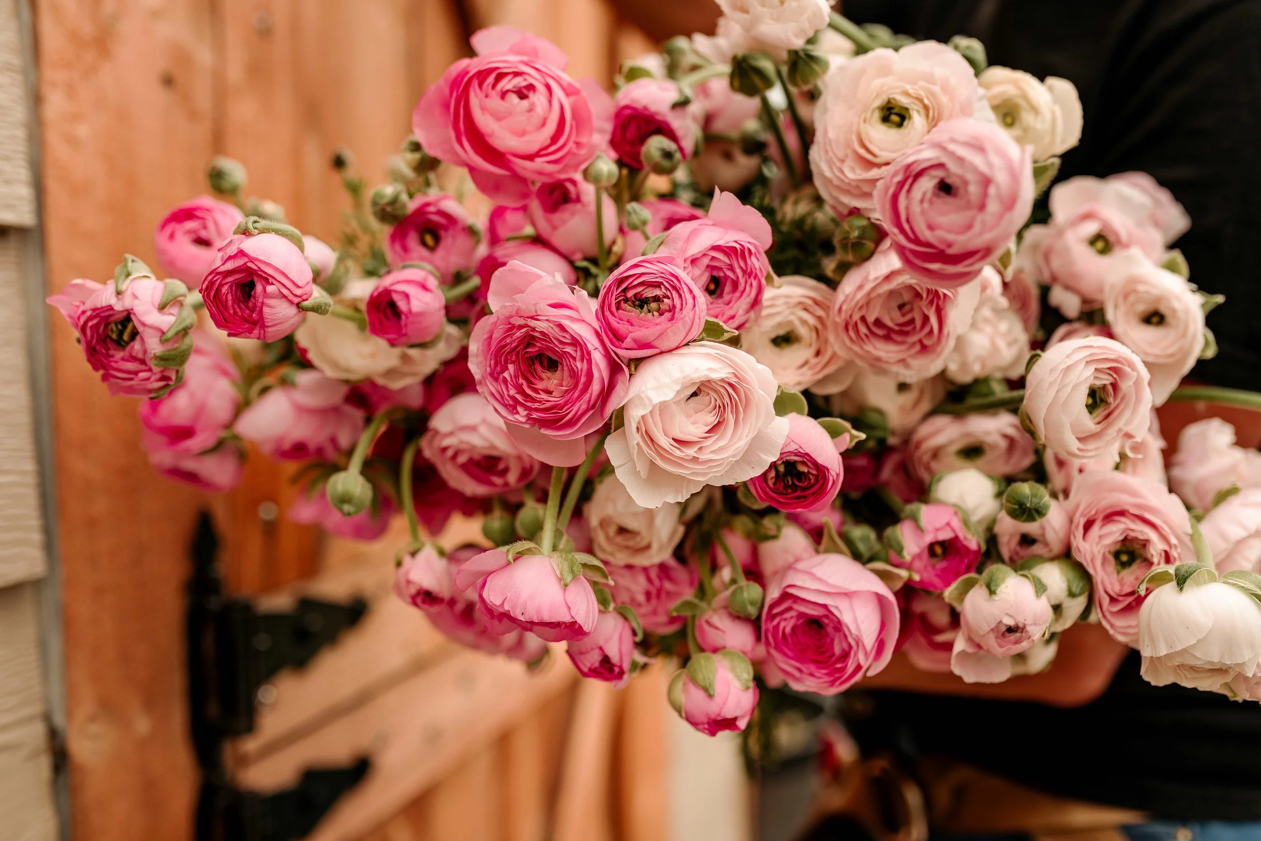 Shop — Pixie Acres