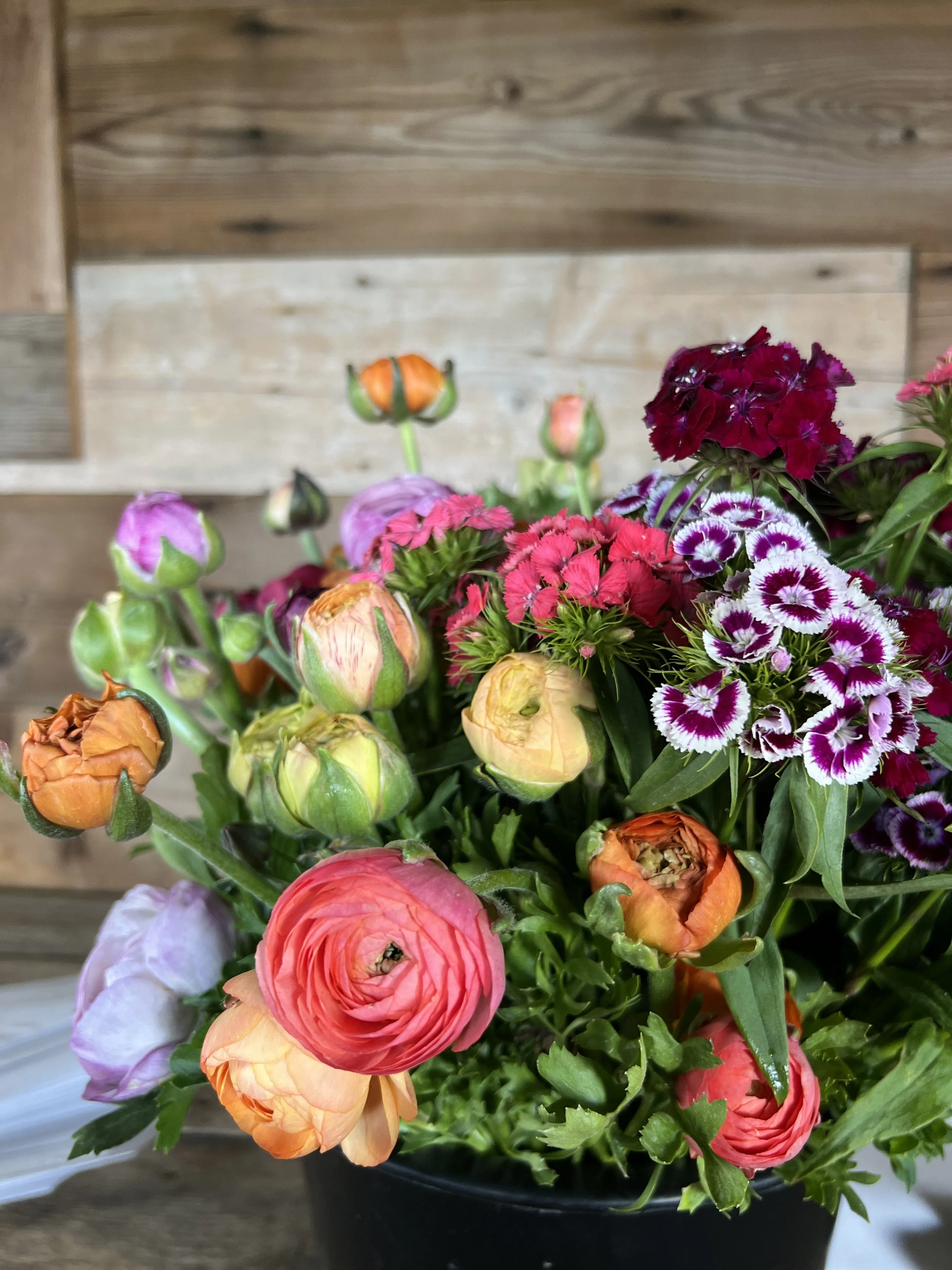 Shop — Pixie Acres