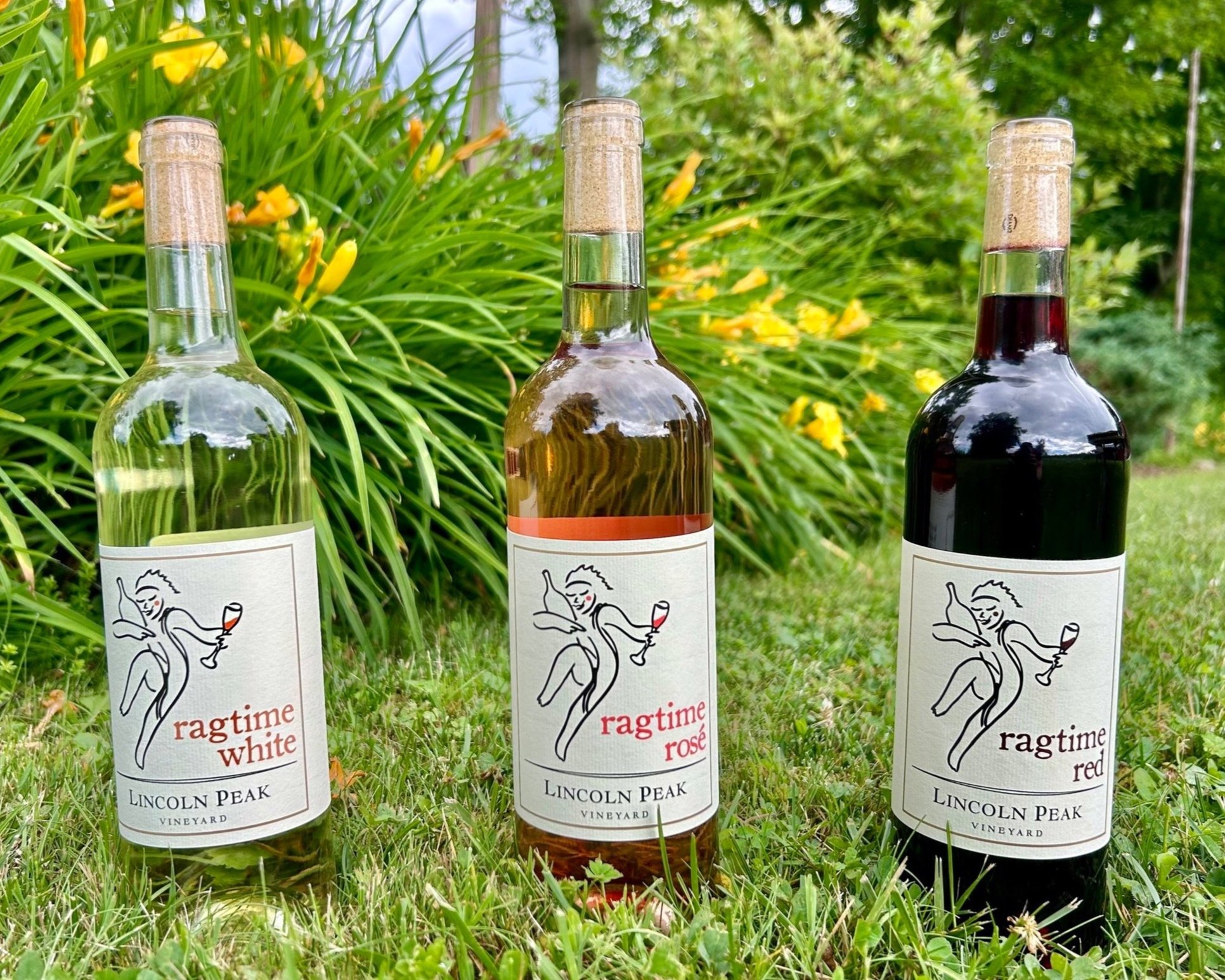 Lincoln Peak Vineyard