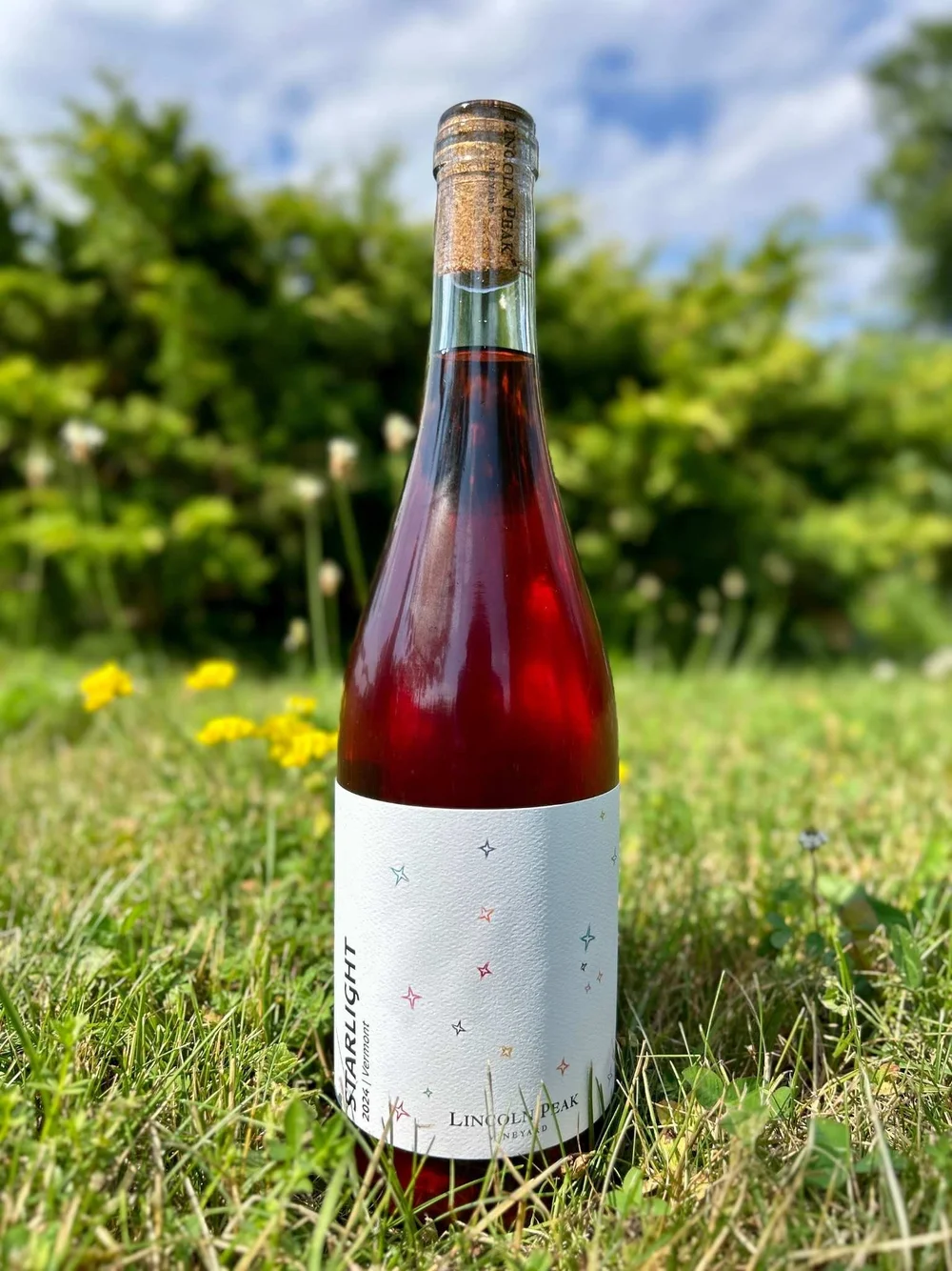 Browse Our Vermont Wines, Ciders & More — Lincoln Peak Vineyard