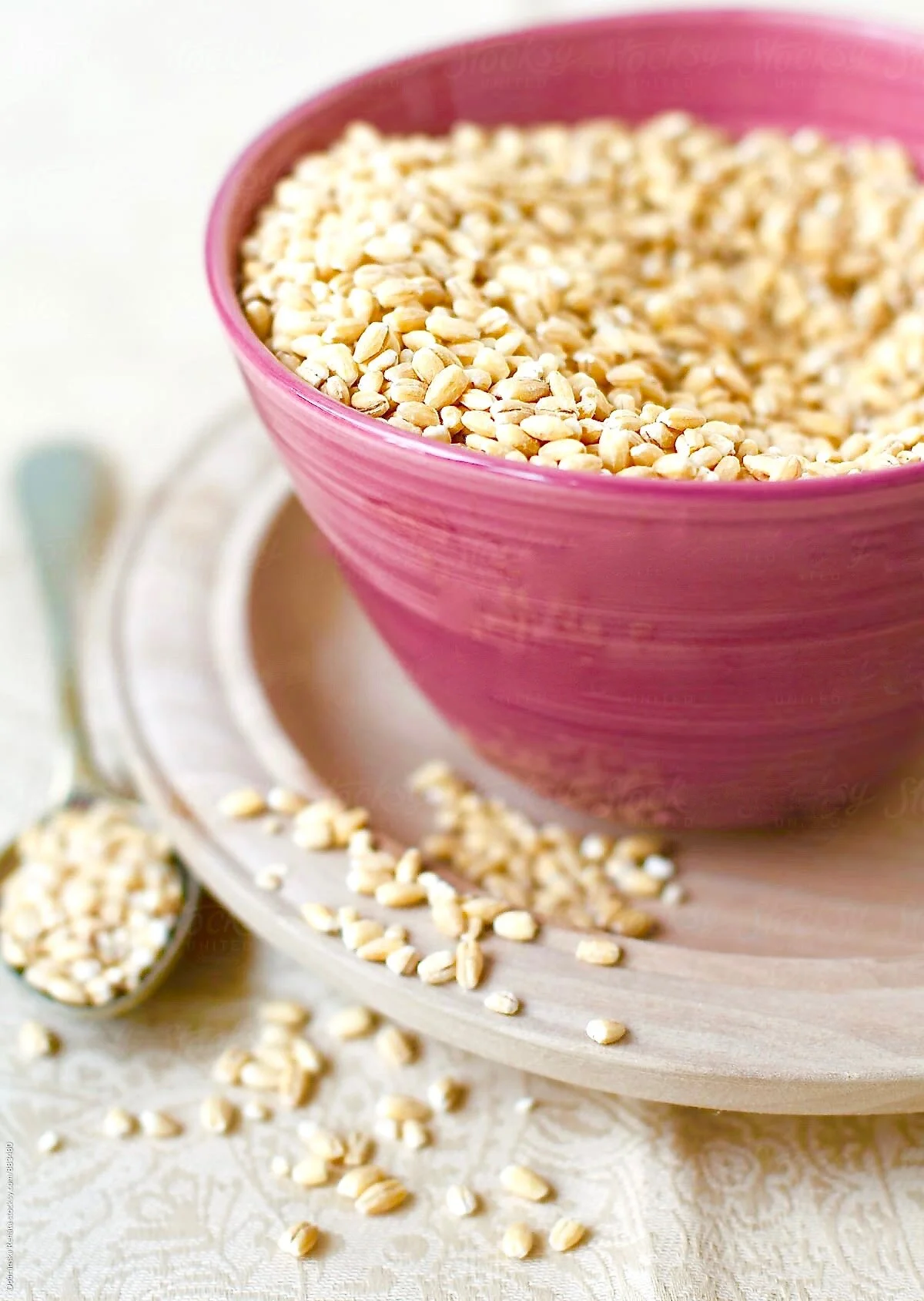 Fast & Fabulous: Porcini Mushroom, Thyme & Barley Soup | The Wine Atelier