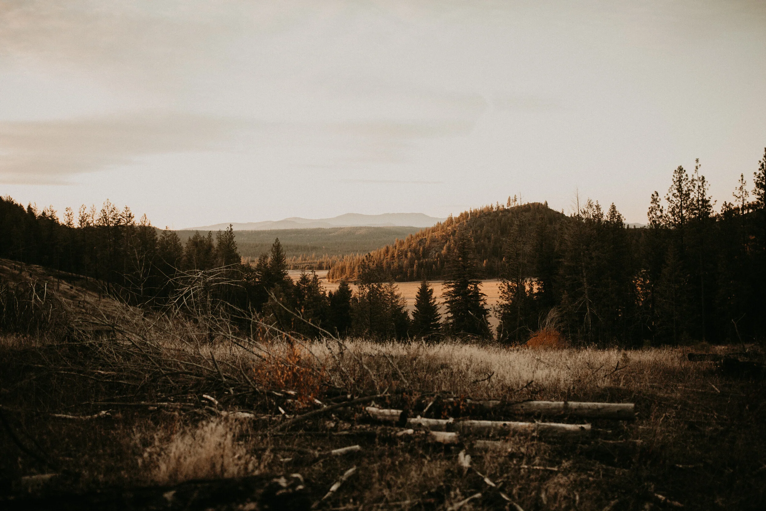 Visit the Ranch — Moose Valley Ranch