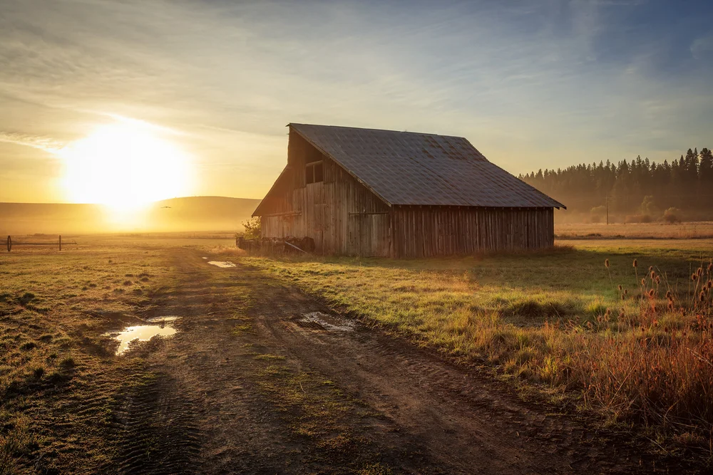 Farm & Ranch — Tillamook Farmers' Co-op