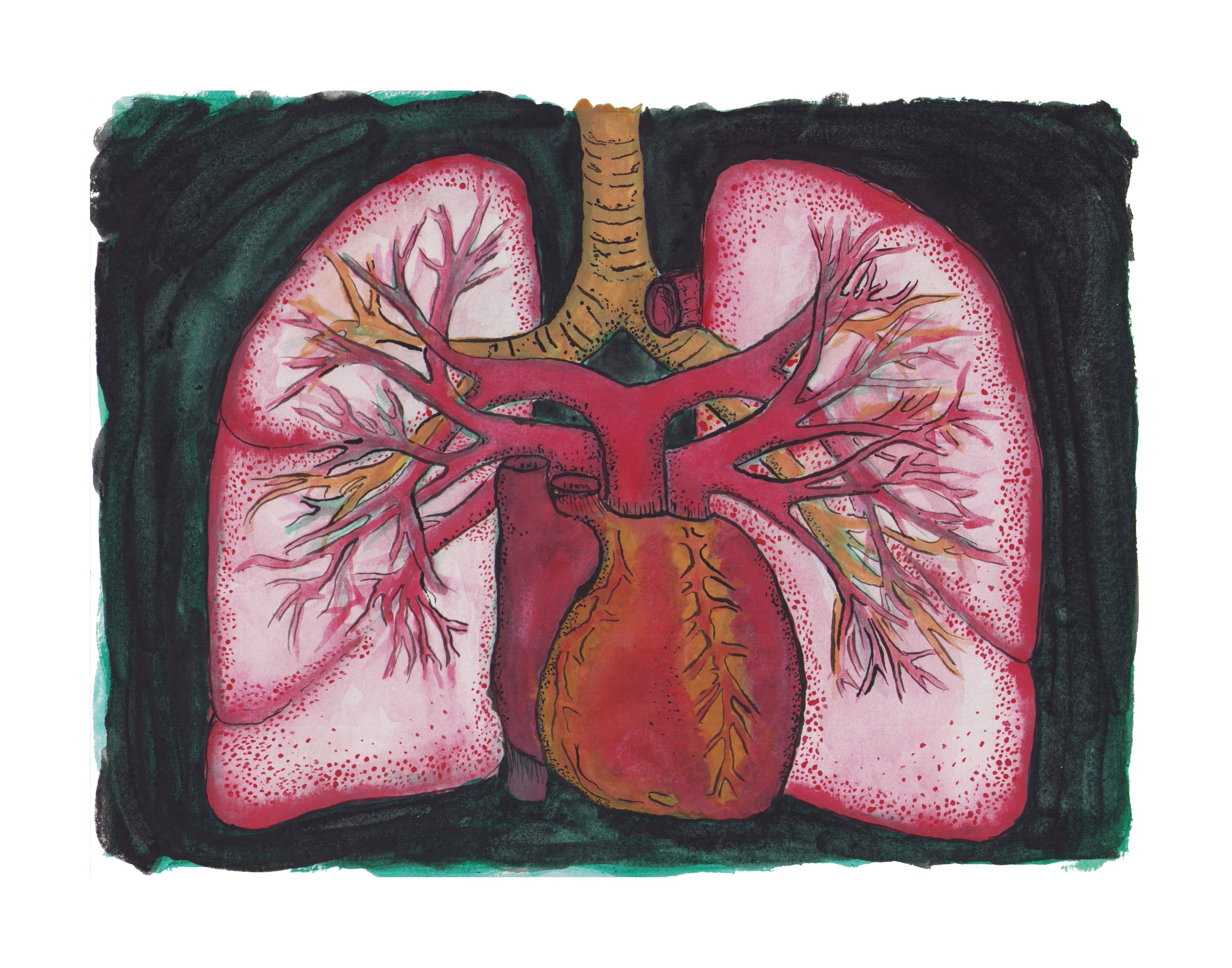 Artists — Harmony Collective Artist Gallery