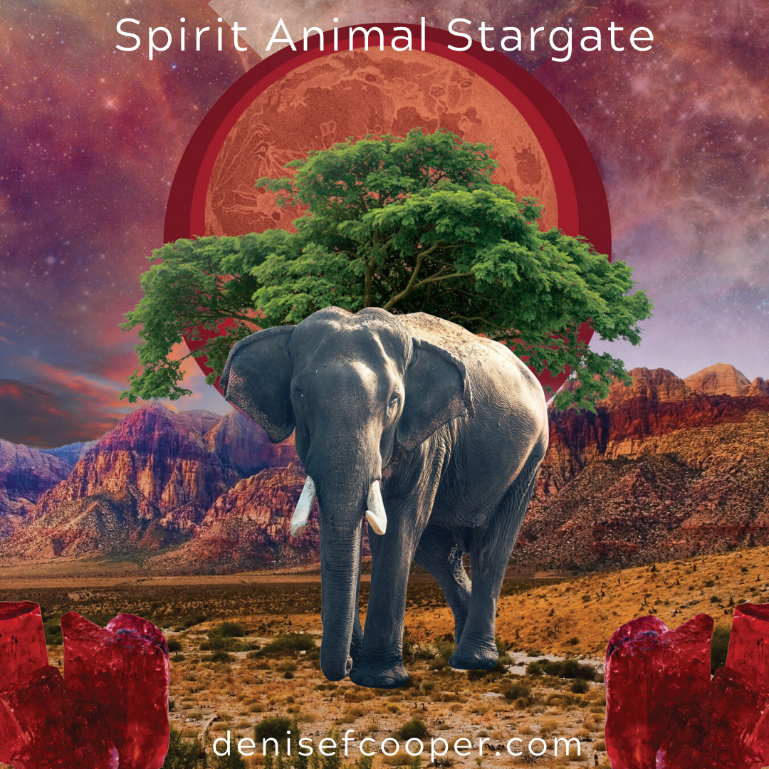 Spirit Animal Stargate (Copy) — DENISE COOPER