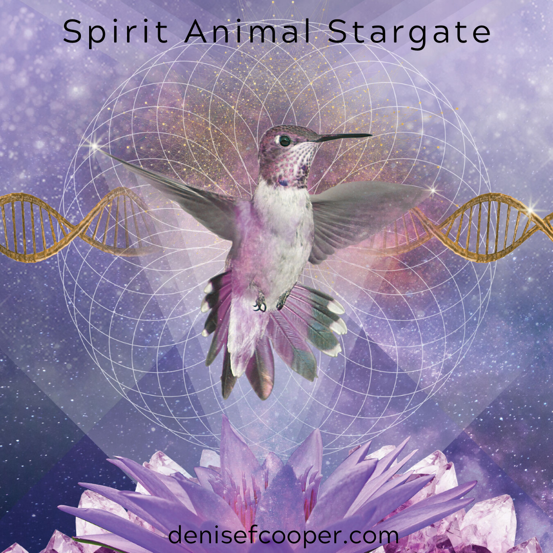Spirit Animal Stargate (Copy) — DENISE COOPER