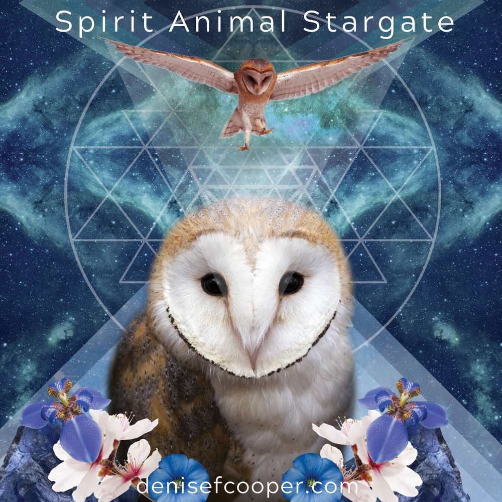 Spirit Animal Stargate (Copy) — DENISE COOPER