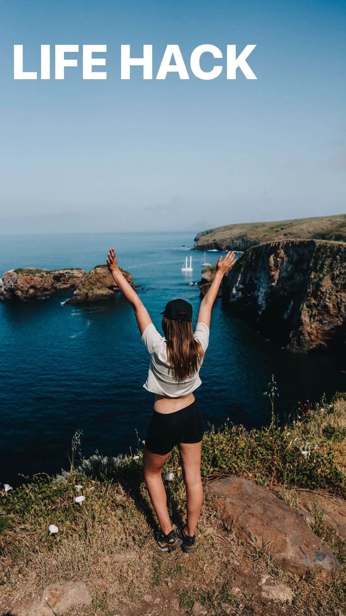 Free Stuff — nomad maddie