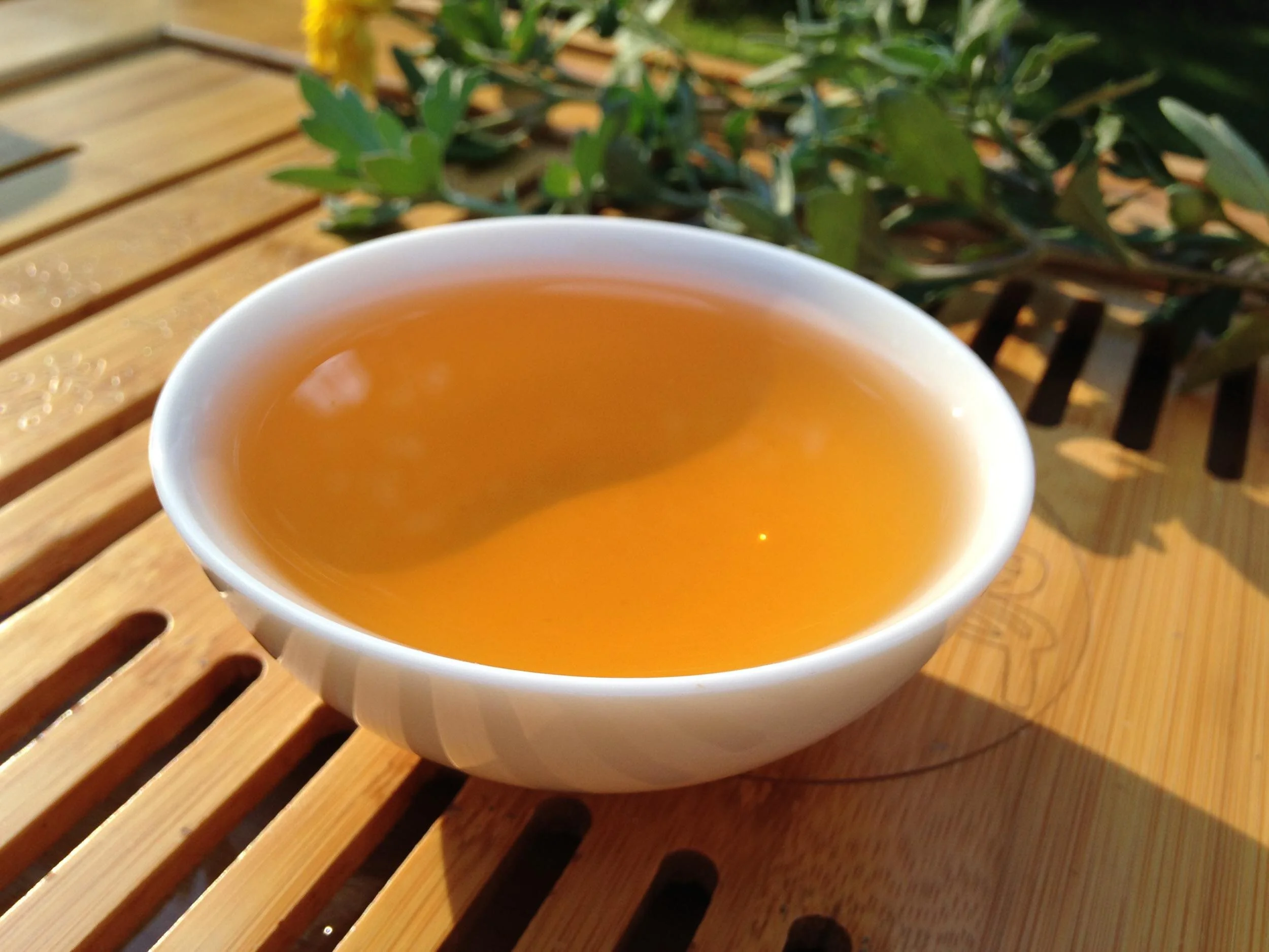 Wu-Long (Oolong) Tea — Loose Leaf Tea — Shang Tea