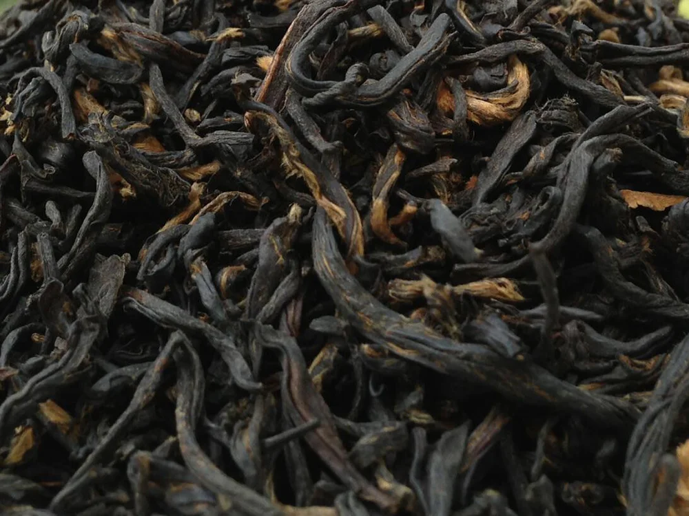 Shang Tea Sampler — Shang Tea