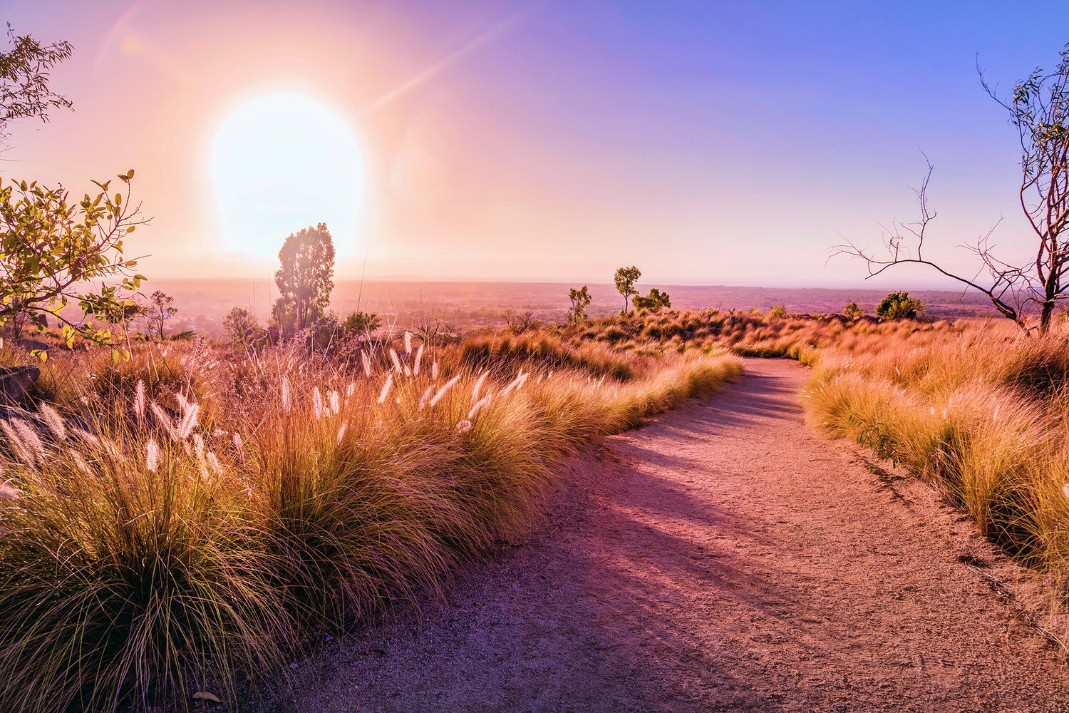 North Queensland Regional Organisation of Councils
