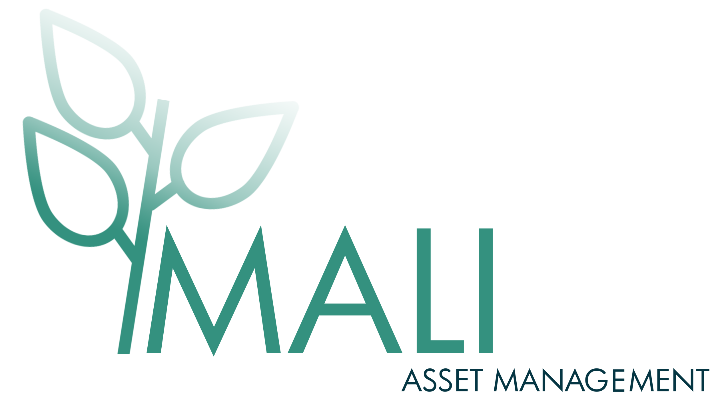 Partners & Companies — Caleo Capital