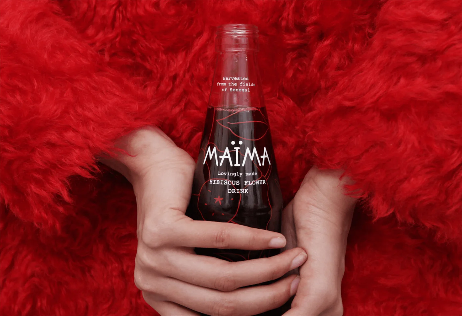 MAIMA Beverage — createid