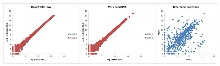 TempO-Seq Workflow — BioSpyder