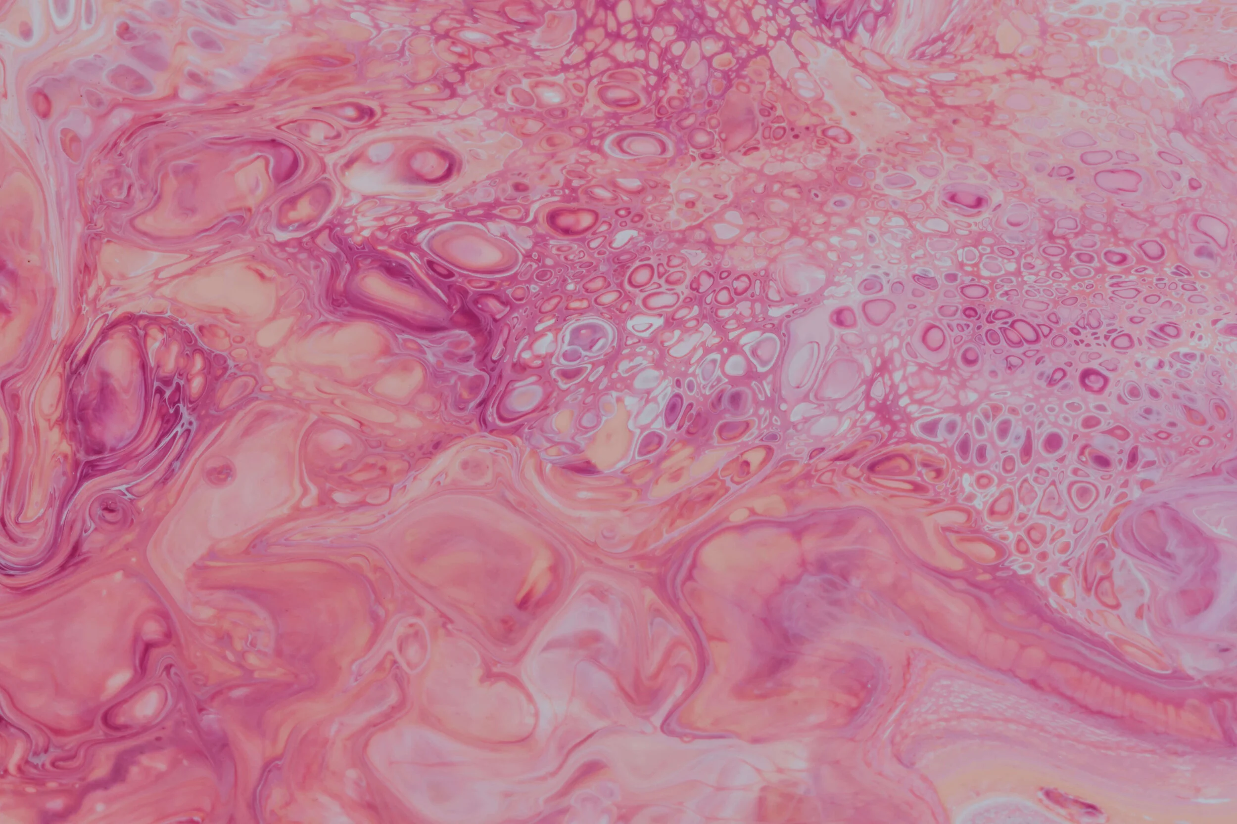 FFPE tissue — BioSpyder