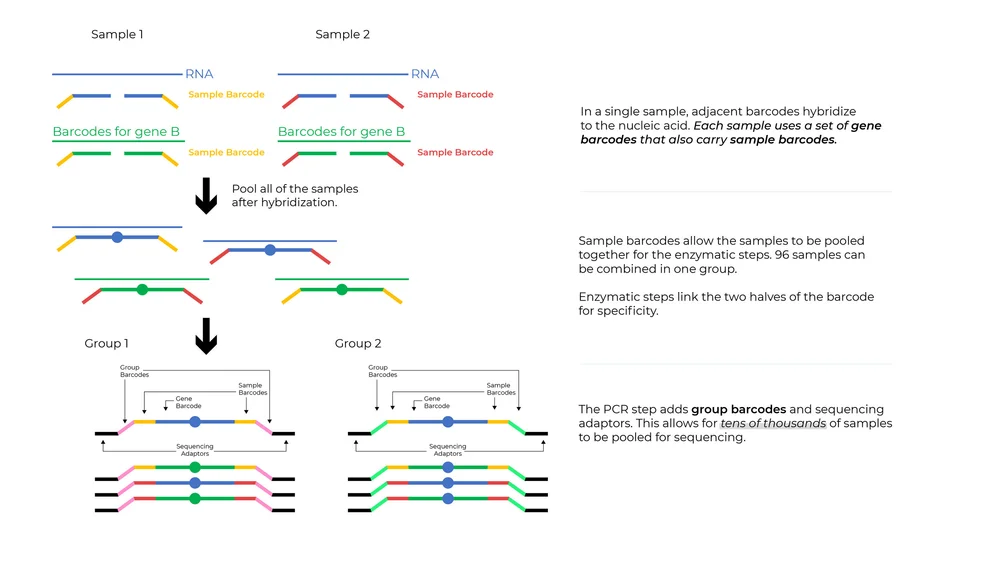 TempO-SPan — BioSpyder