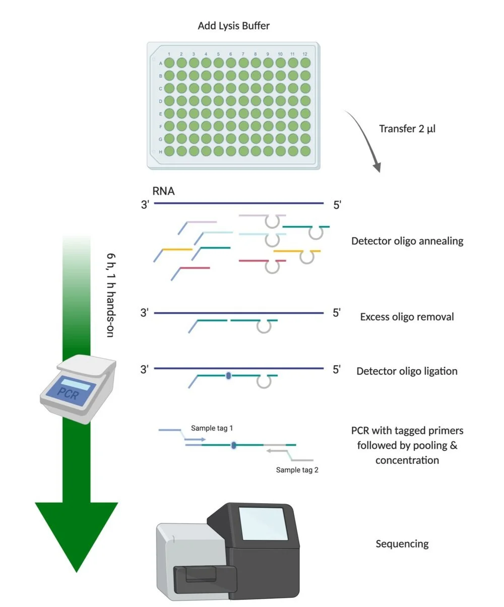 Biology to Barcodes™ — BioSpyder
