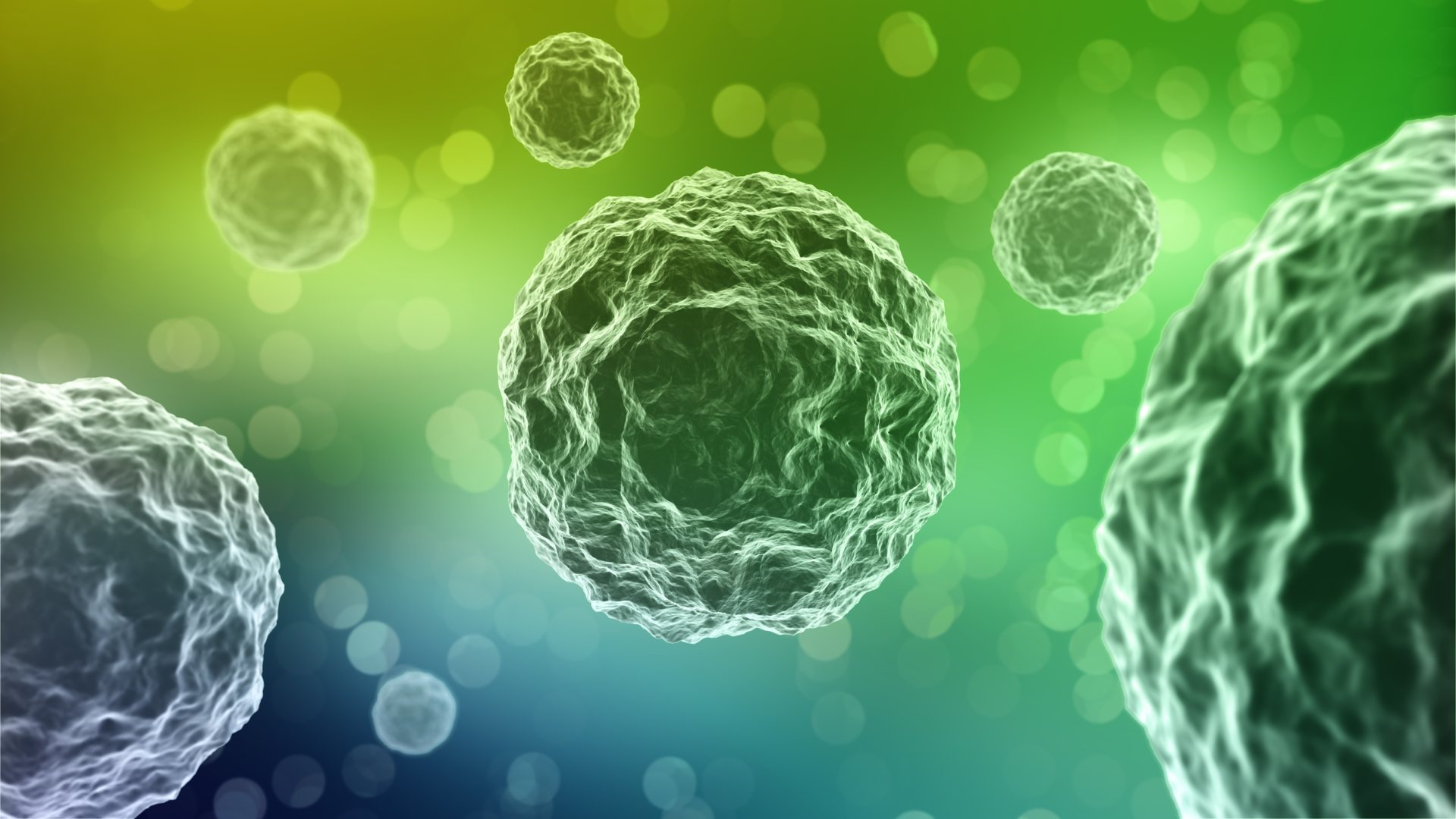 Bioinformatics Services — BioSpyder