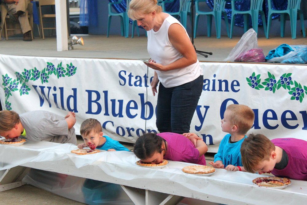 Blueberry Festival — Union Fair