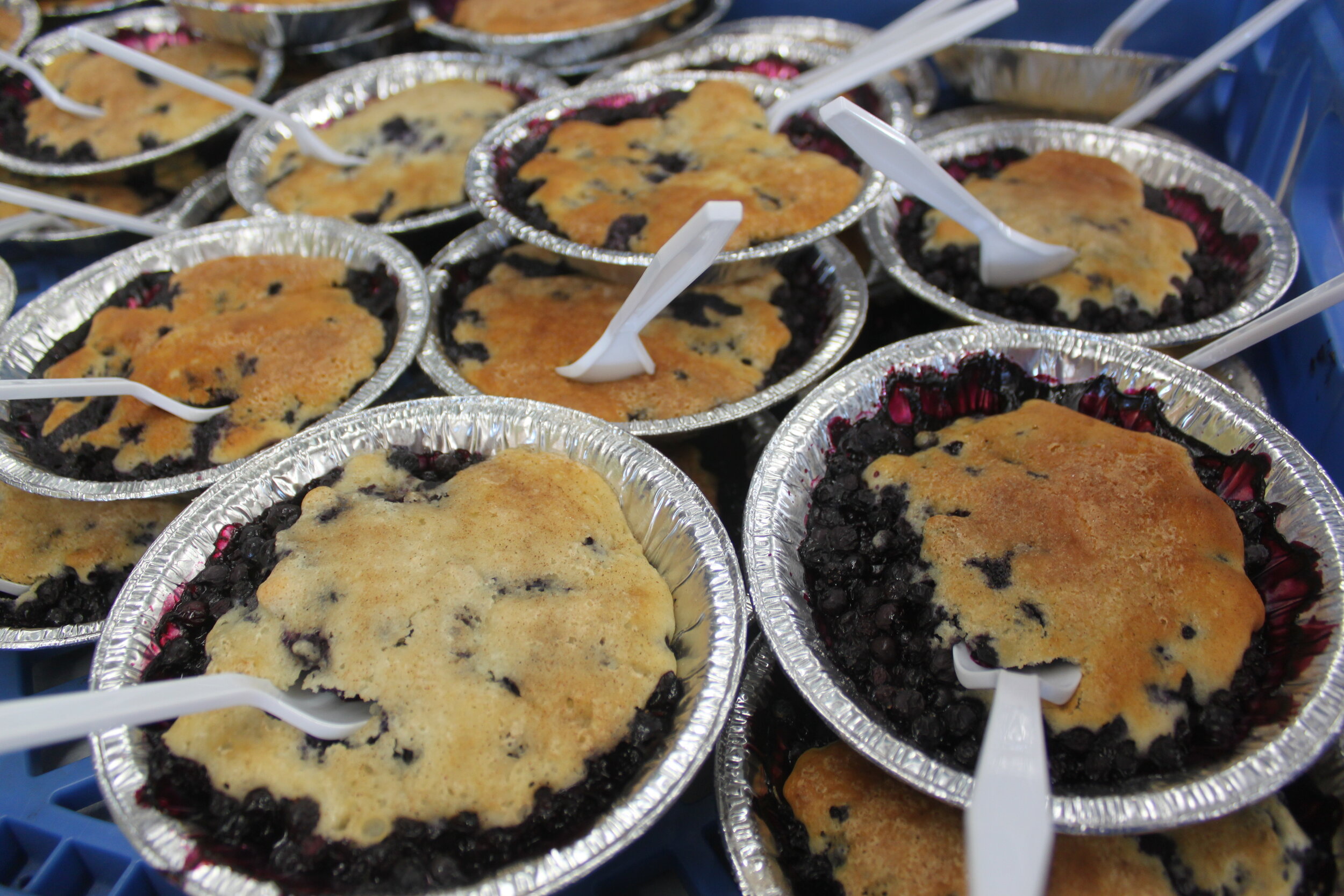 Schedule — Union Fair