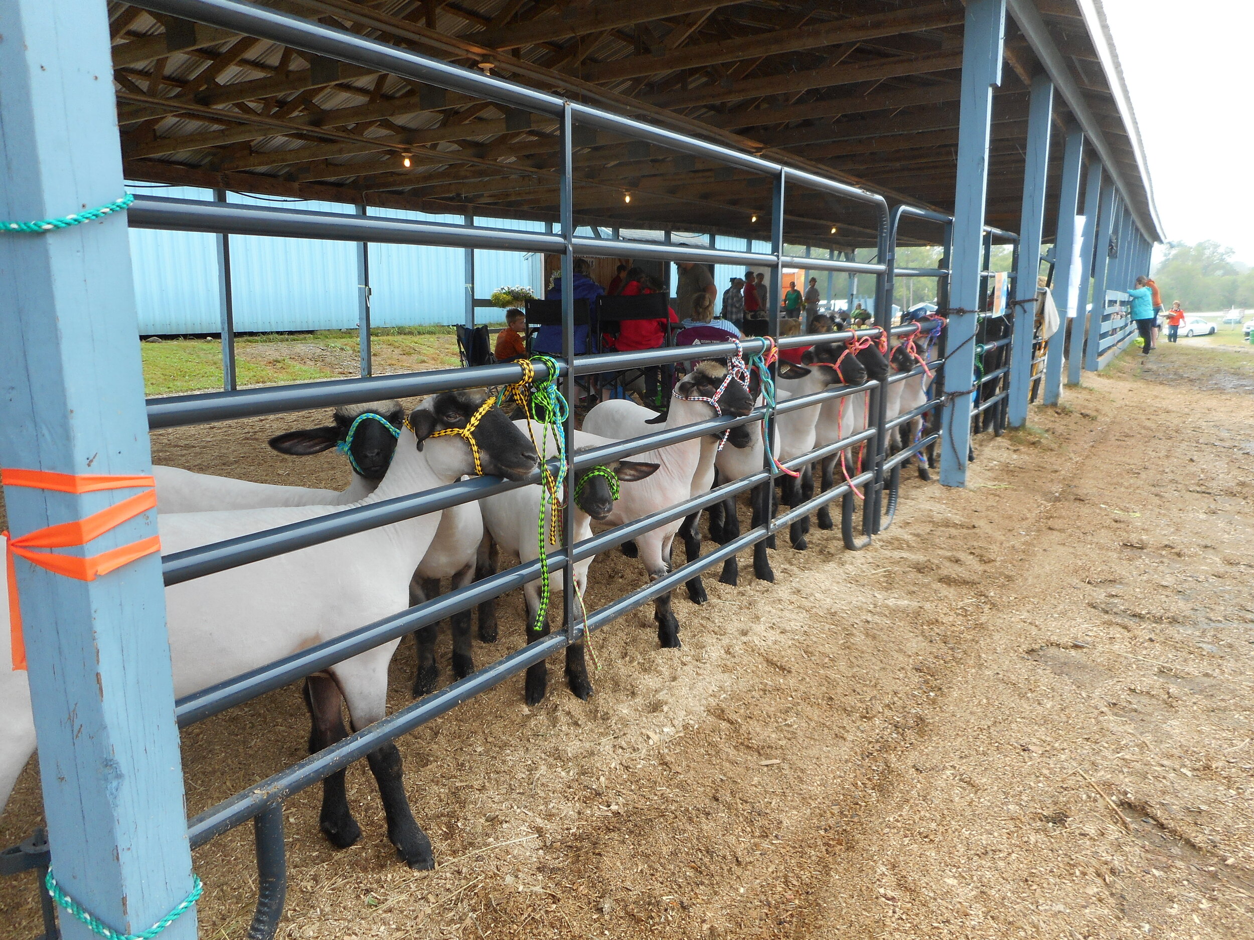 Schedule — Union Fair