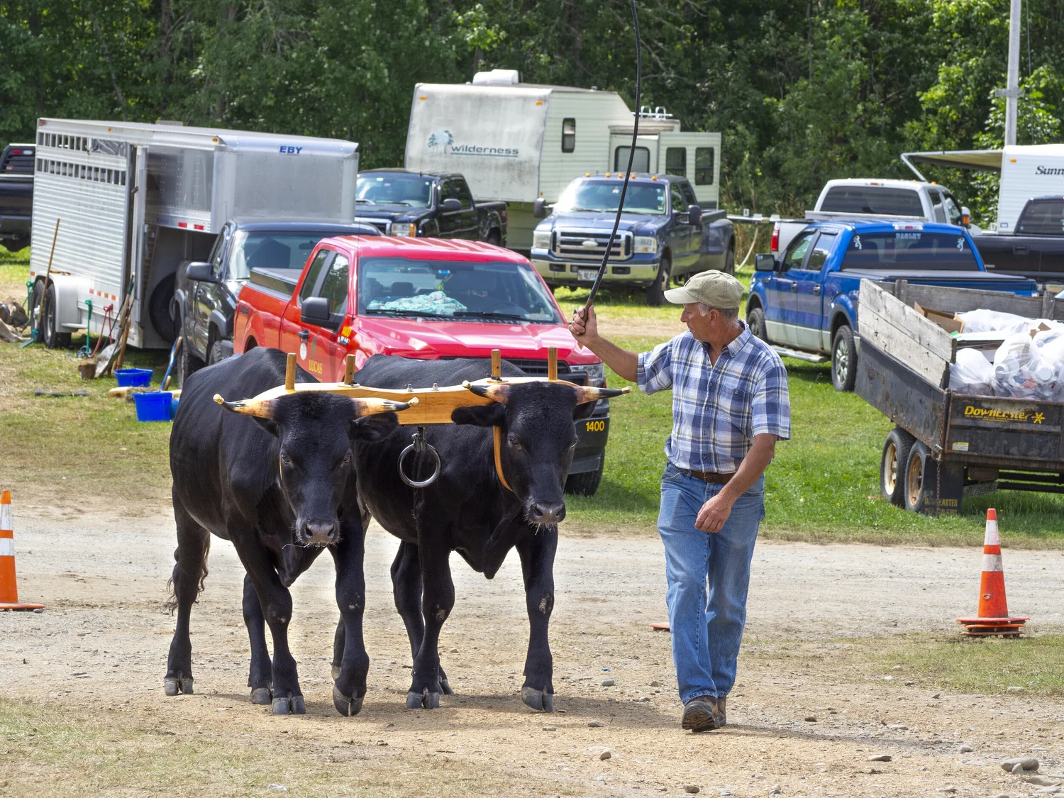 Livestock Pulling — Union Fair