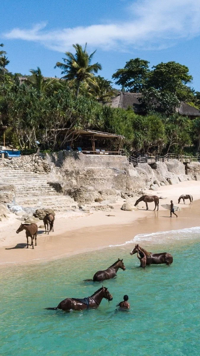 THE WORLD'S BEST LUXURY EQUESTRIAN RESORTS — BLACK SADDLE