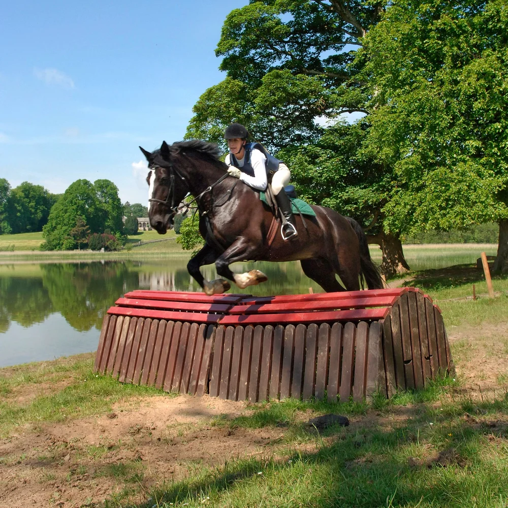 Castle Leslie - Ireland — BLACK SADDLE