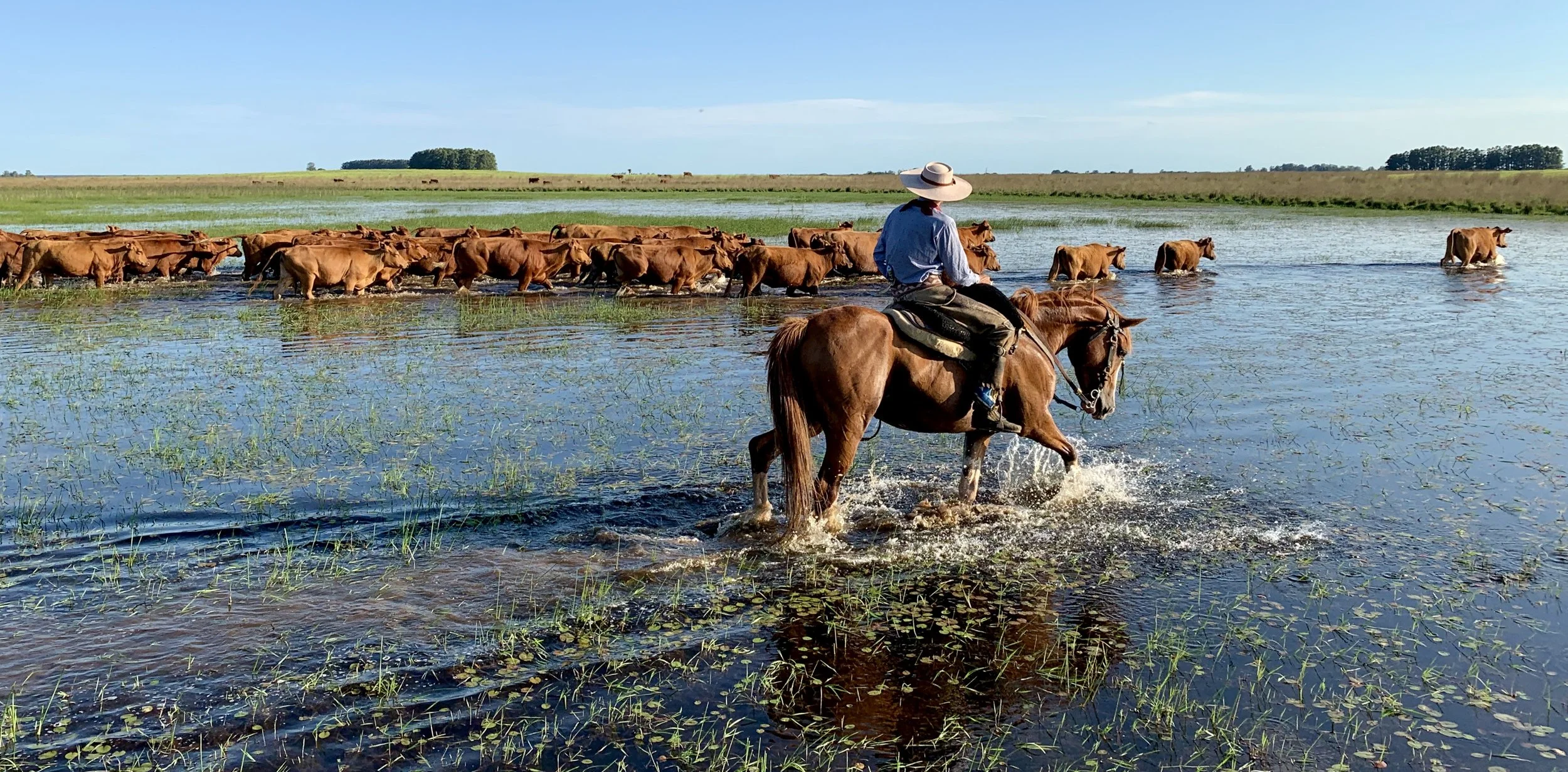 HOW TO CHOOSE A RIDING HOLIDAY IN ARGENTINA — BLACK SADDLE