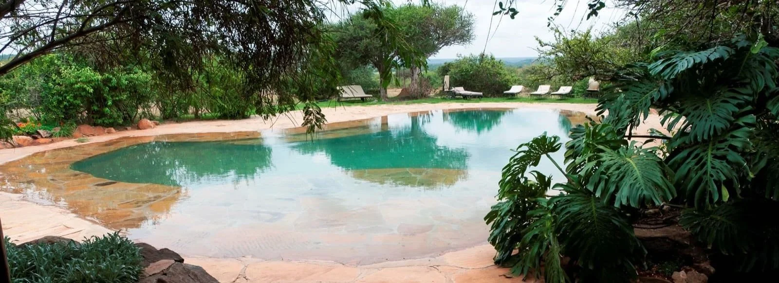 Sosian Lodge — BLACK SADDLE