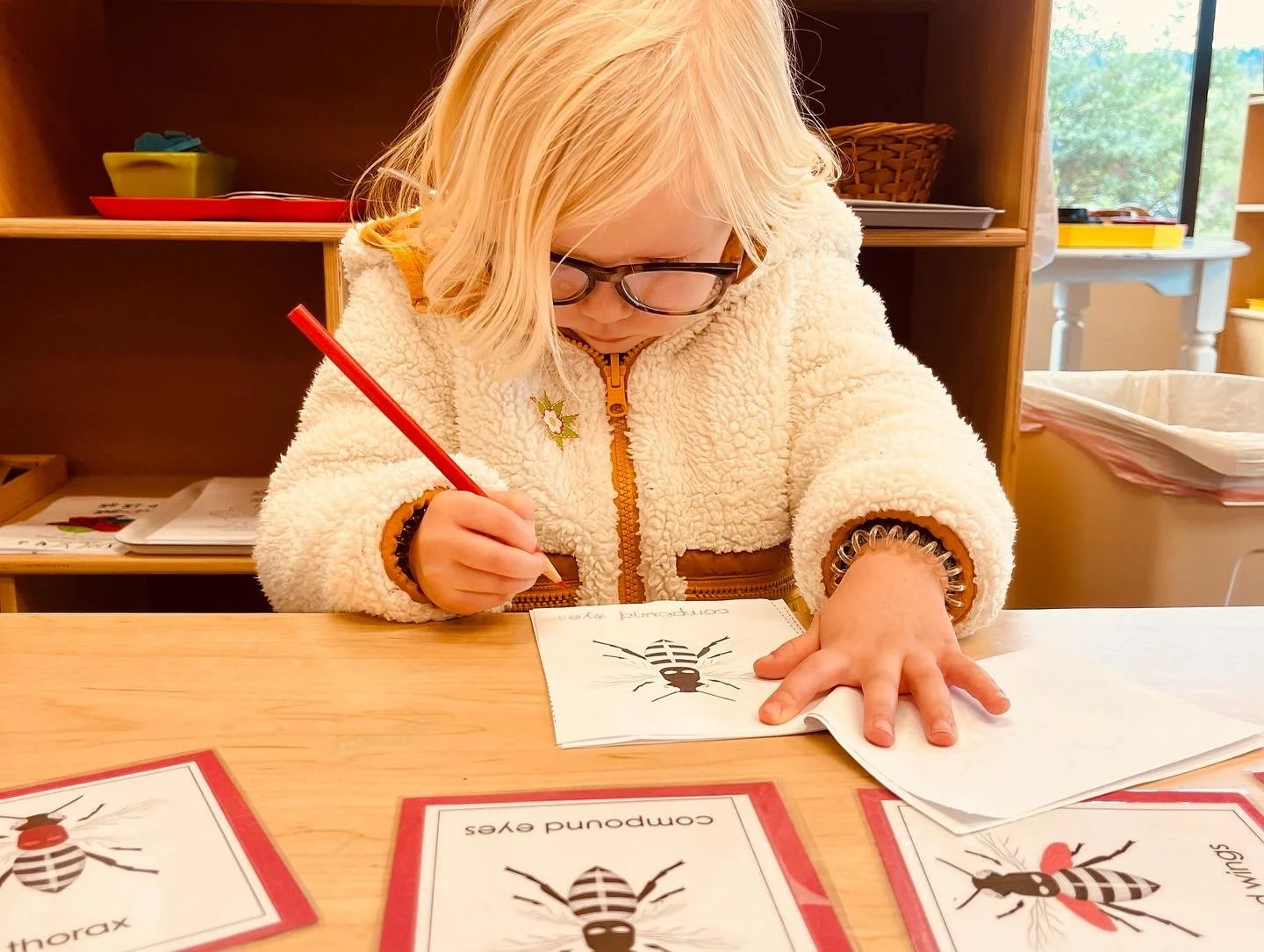 The Discovery Preschool