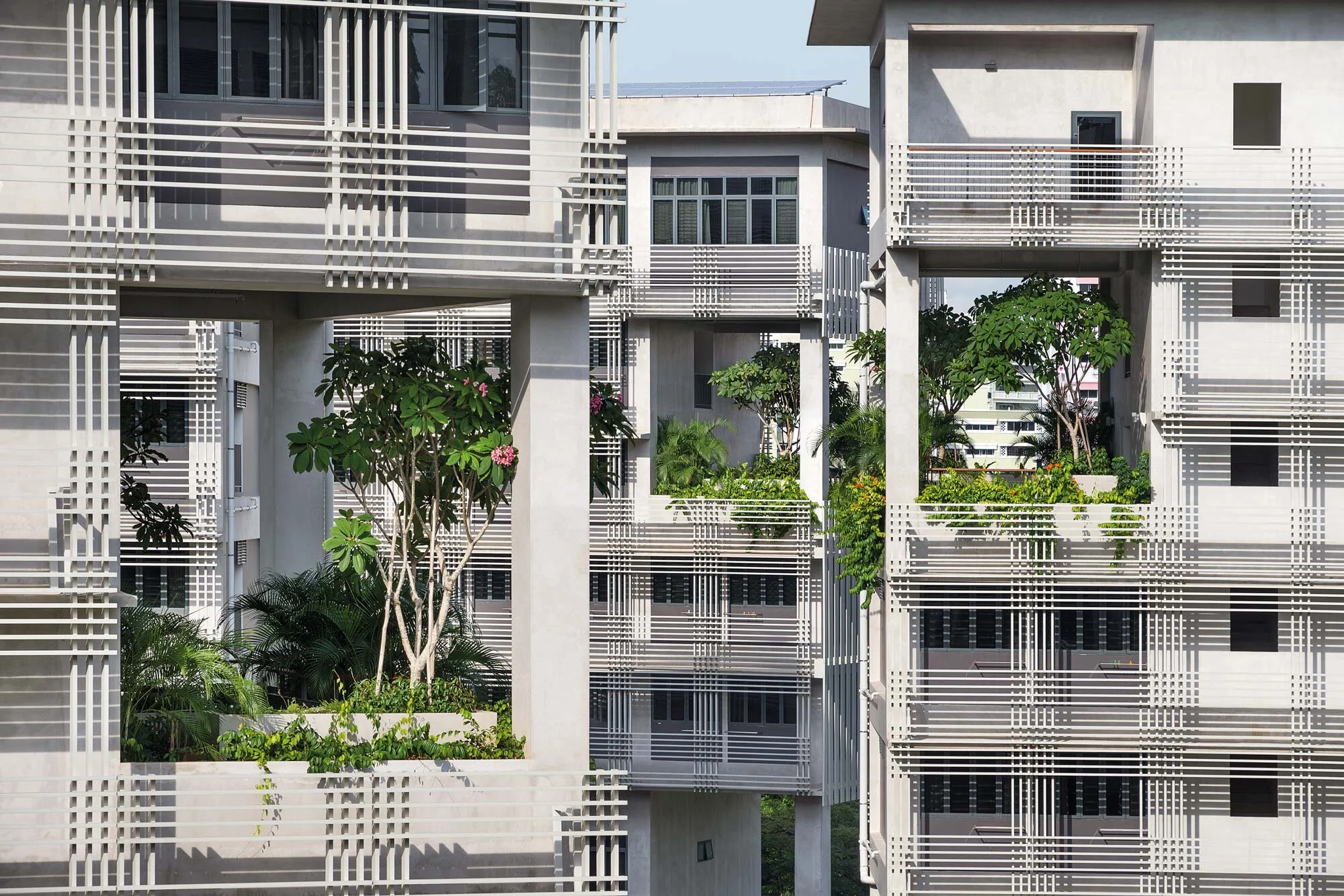 NTU Pioneer Hall and Crescent Hall — Modus News