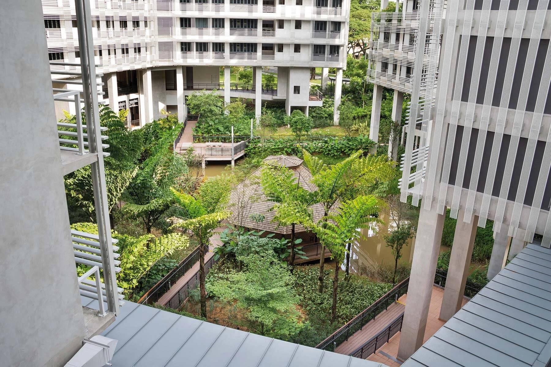 NTU Pioneer Hall and Crescent Hall — Modus News