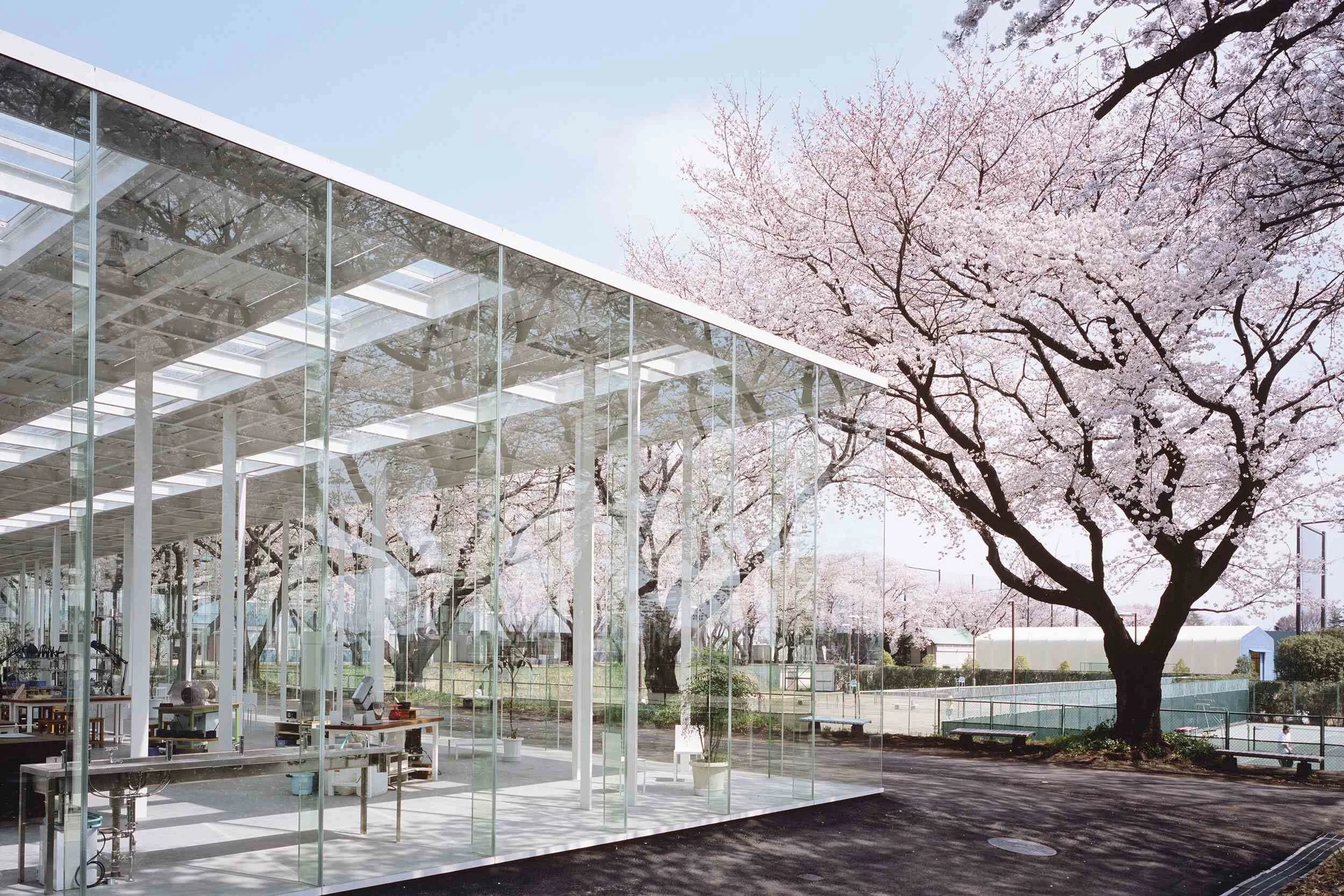 KAIT Workshop — Modus News