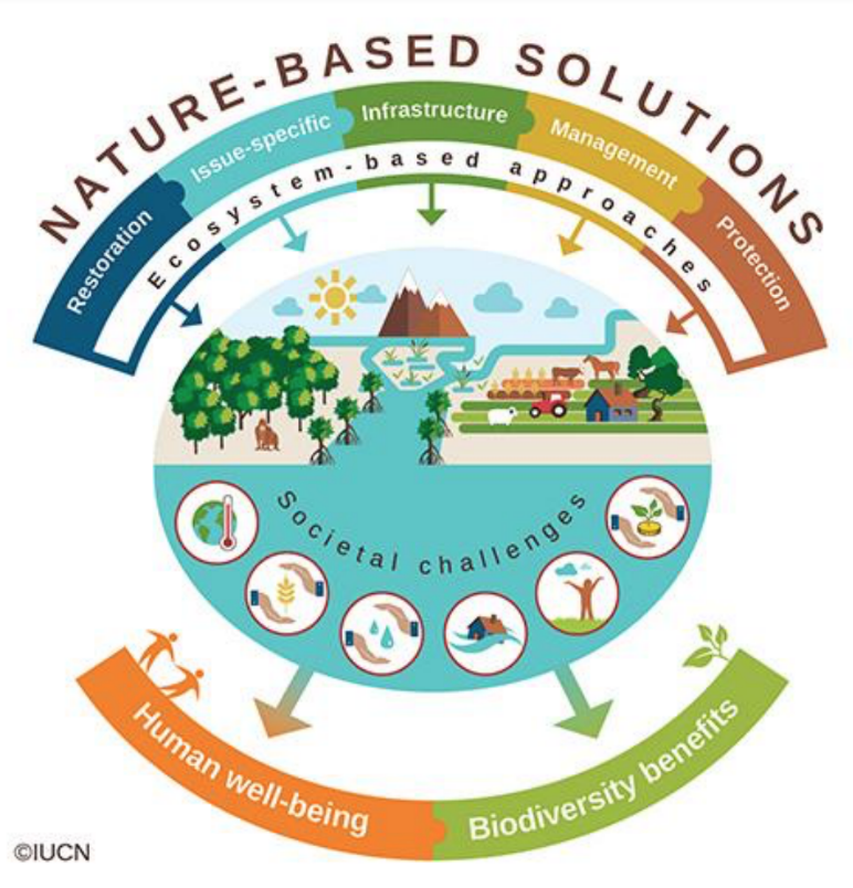 Resiliency Planning - Climate Smart Rhinebeck — Climate Smart Rhinebeck ...