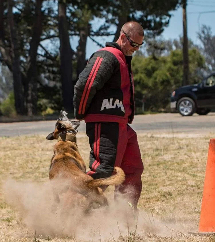 What Is French Ring Dog Training