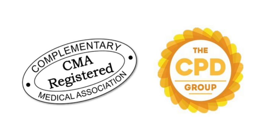 Forest Therapy Practitioner Certification — LIGHT BOX