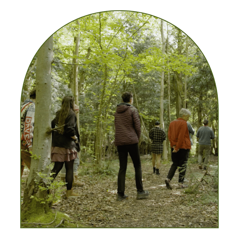 Forest Therapy Practitioner Training — LIGHT BOX