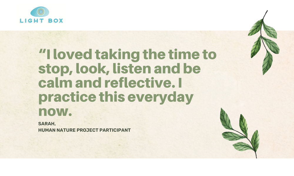 Guiding the Path to Wellbeing: The Role of a Forest Therapy Guide ...