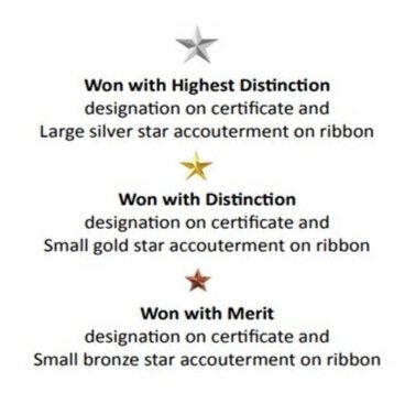 JROTC Award of Excellence — Celebrate Freedom Foundation